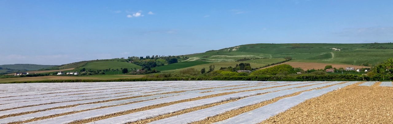 About us | Farm Wight